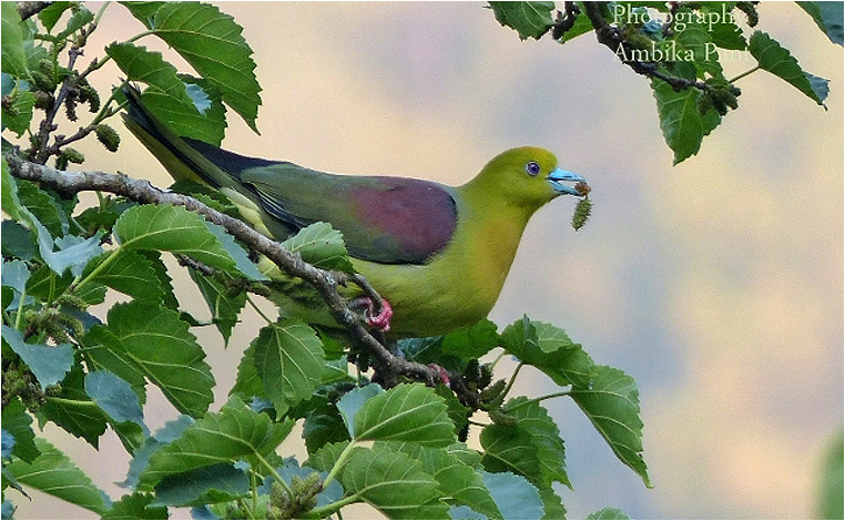 The Best Photos of the Day: August 29, 2013