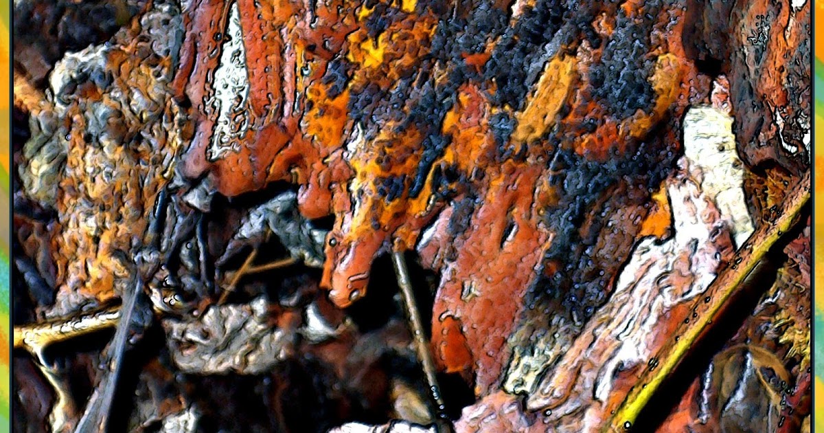 Karen`s Nature Photography: Decaying Pieces of Wood.