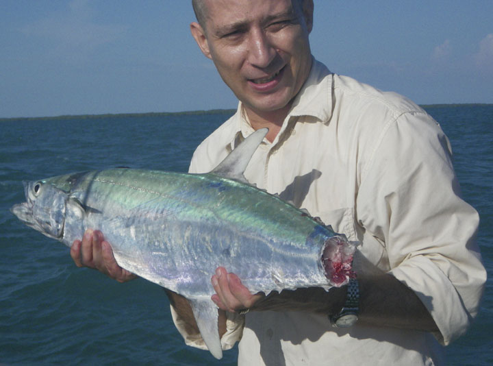 I hooked this little Mackerel, then a shark came and eat the mac's tail ...