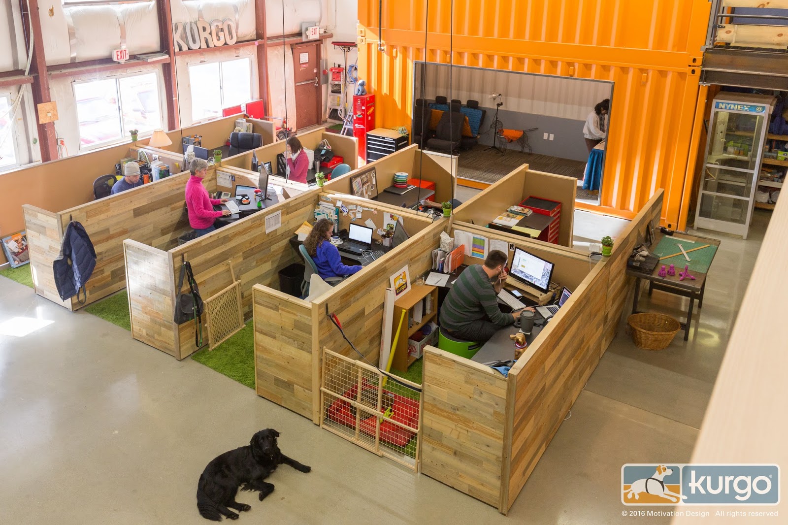 Small Animal Talk: #dogsallowed. What does a dog friendly office look ...