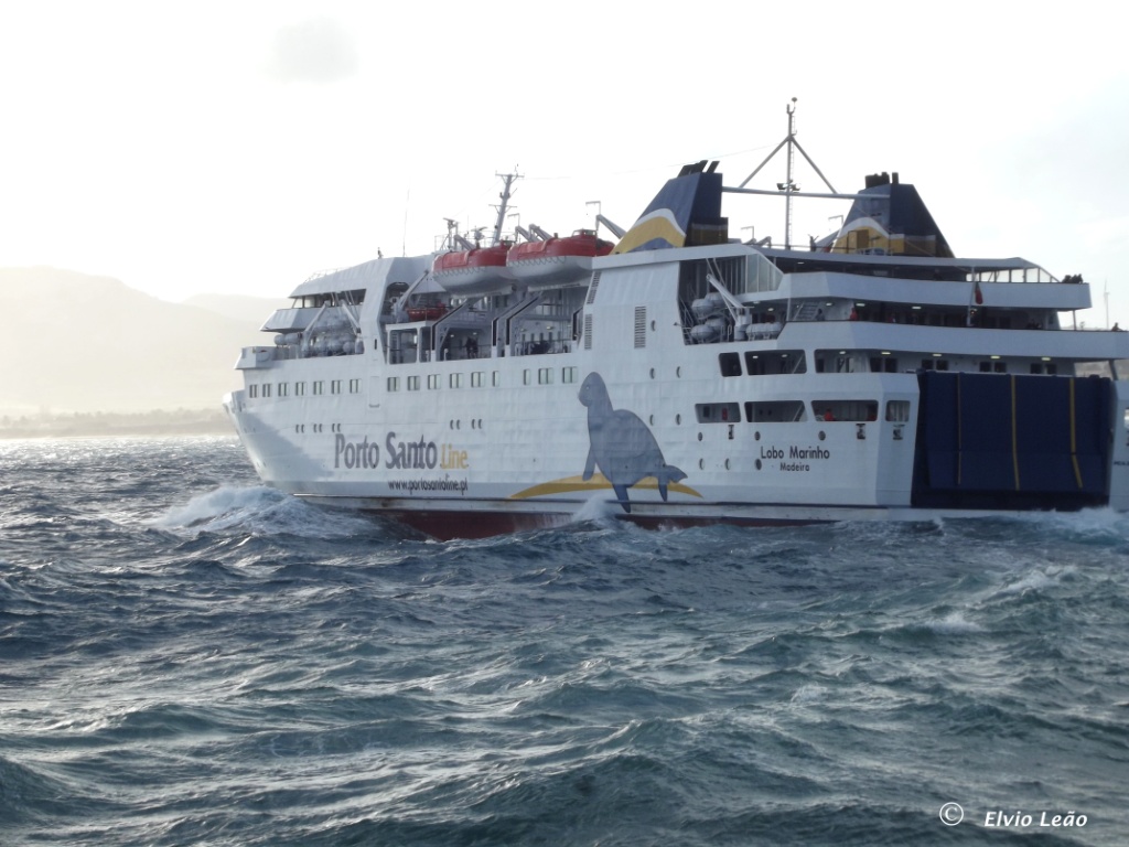 O Mar do Porto Santo: Lobo Marinho cancela viagem