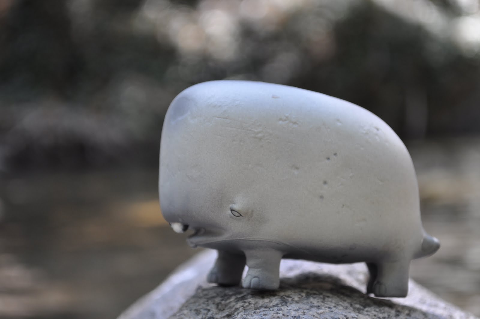 terrarium-timmy-have-you-ever-seen-a-whale-with-legs