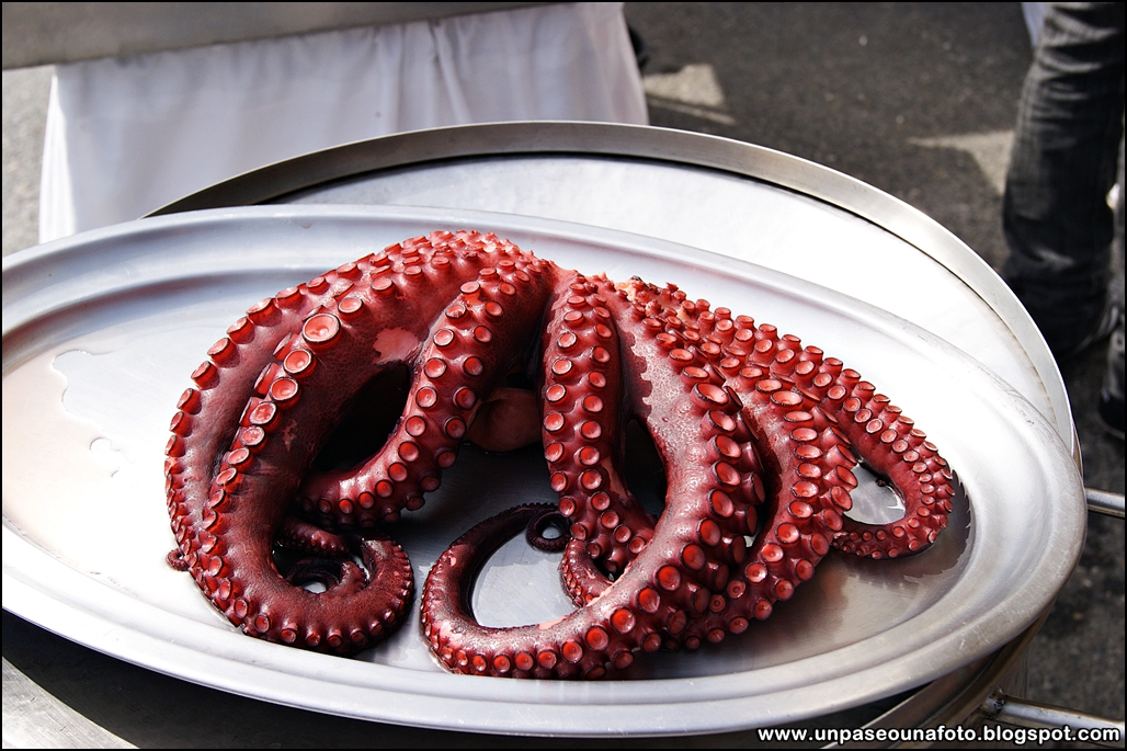 Un paseo,una foto: marzo 2012