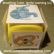 Ignite Learning with Conscious Discipline LLC: Composure Cubes