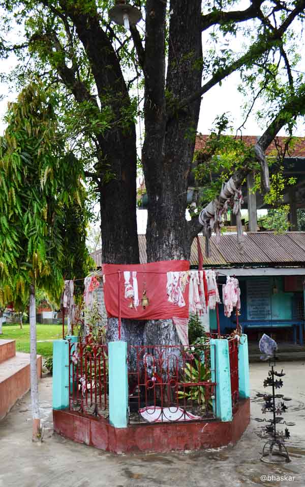 Fusion: Shree Shree Gorokhiya Gosai Than, Sorbhog.