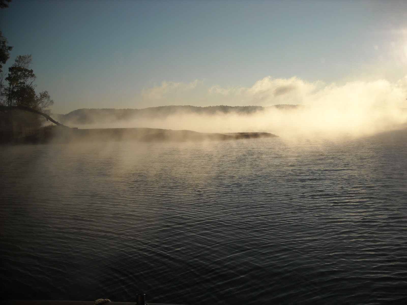 Southern Belle: Fun on Pickwick Lake