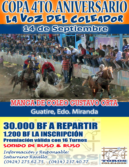 A Ritmo de Galope: Tardes de Toros Coleados en Septiembre 2013