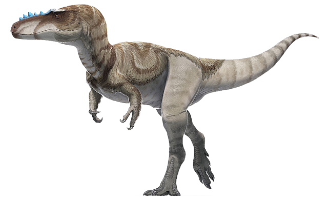 The Expeditioner's Discovery Guild: A little bit of Everything: Paleo ...