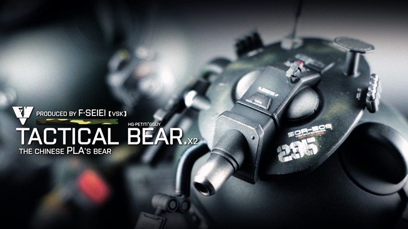 Custom Build: HGPG Petitgguy [TACTICAL BEAR.x2]