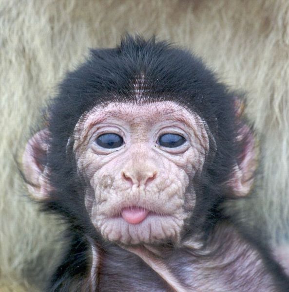 Beautiful World : Collection of cool & funny pics