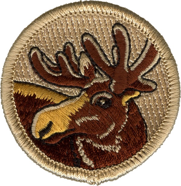 Troop 108: New Patrol Patches