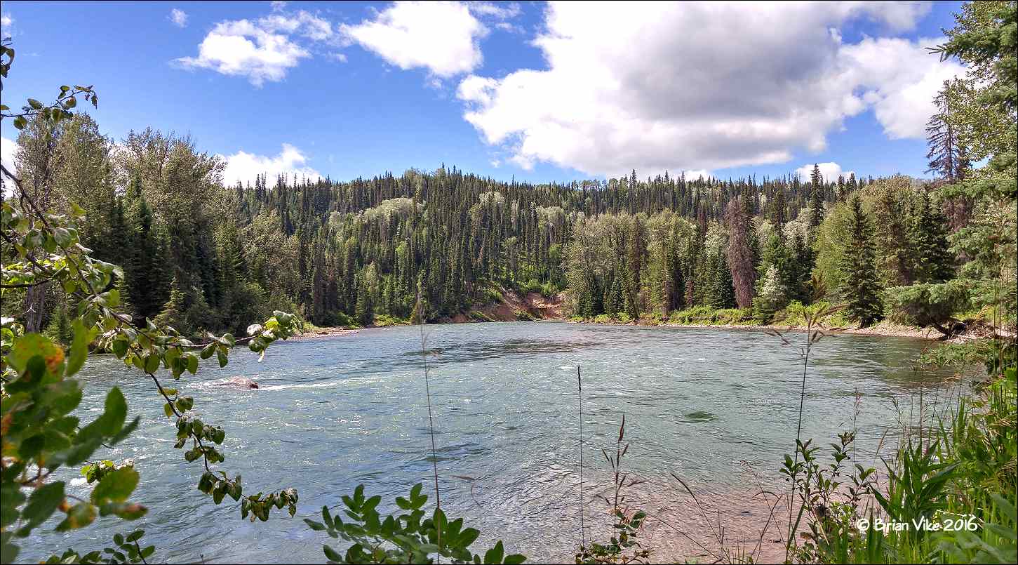 Northern Interior British Columbia: Aspen Recreation Site On The Morice ...
