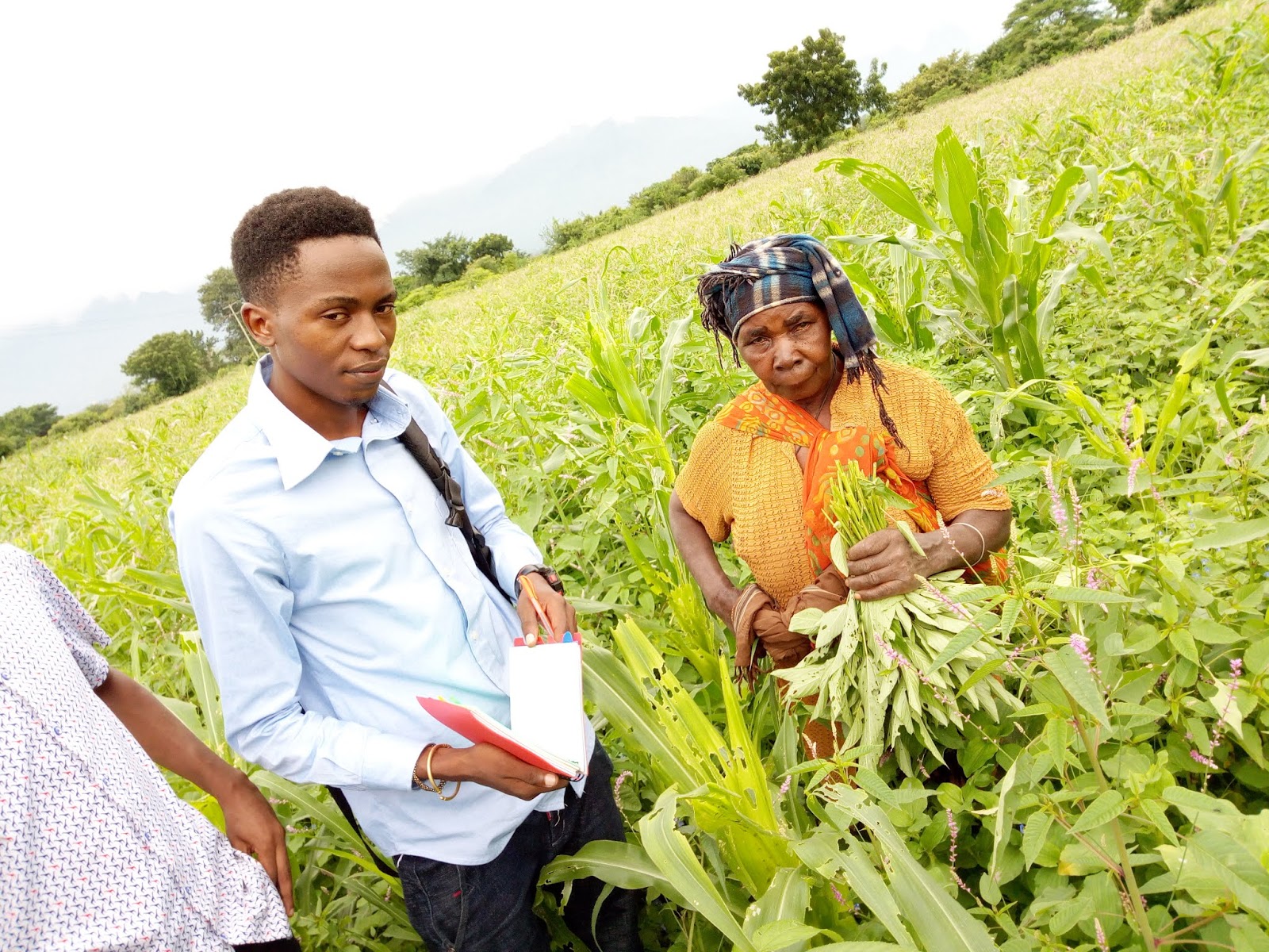 WAKULIMA WAZUNGUMZIA CHANGAMOTO KUBWA ZINAZO WAKABILI - TANZANIA NA KILIMO