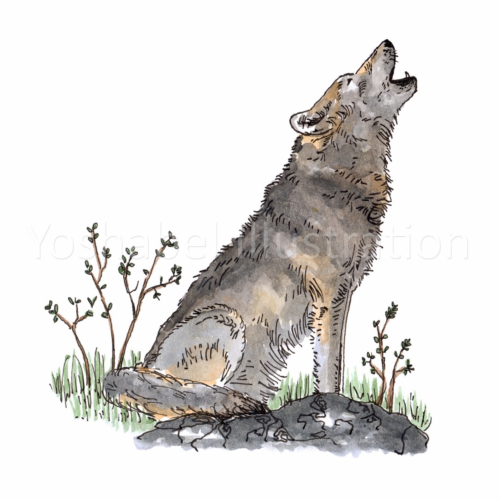 Yoshabel Illustration