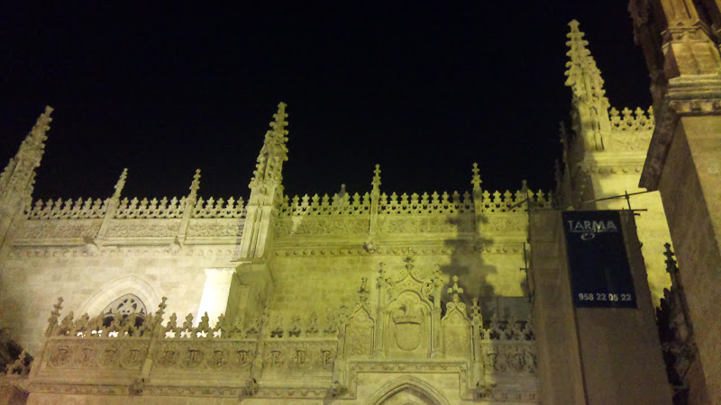 Sousies tägliche Gedanken