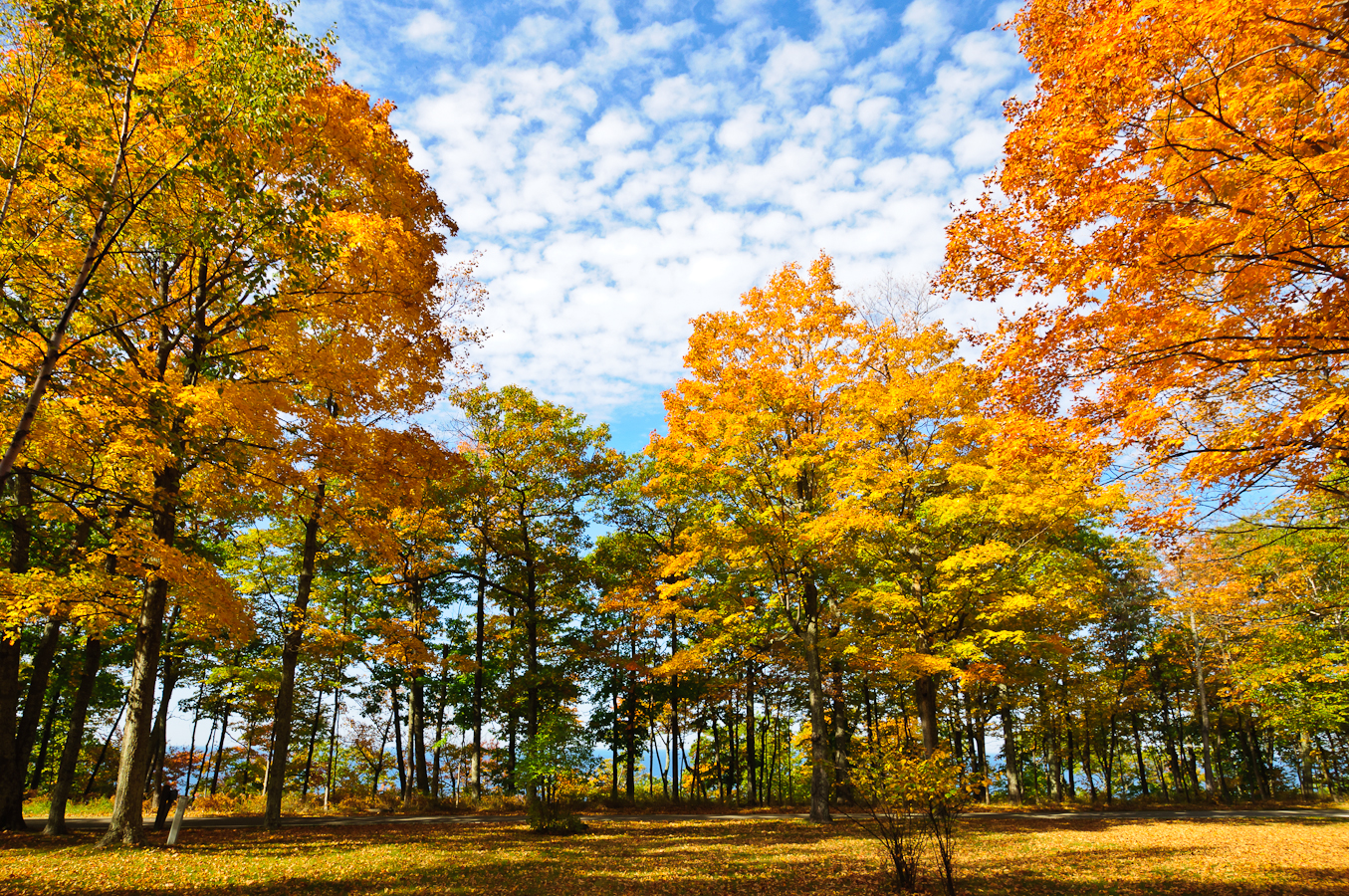 Steve Q Photo: Up North Michigan Fall Color - Day Four - October 11, 2011