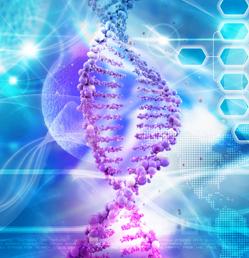 AmicoMario: IL DNA DEGLI ANTICHI SARDI È ANCORA PRESENTE: IL NOSTRO ...
