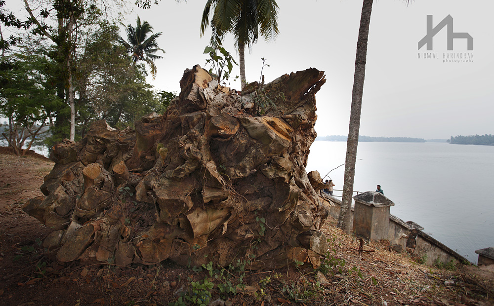 A Photo blog of Spice Trade: Remains of Cranganore Fort