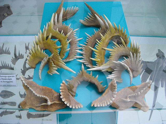 Partial Ellipsis of the Sun: A Blog for Scientists who like Words and ...