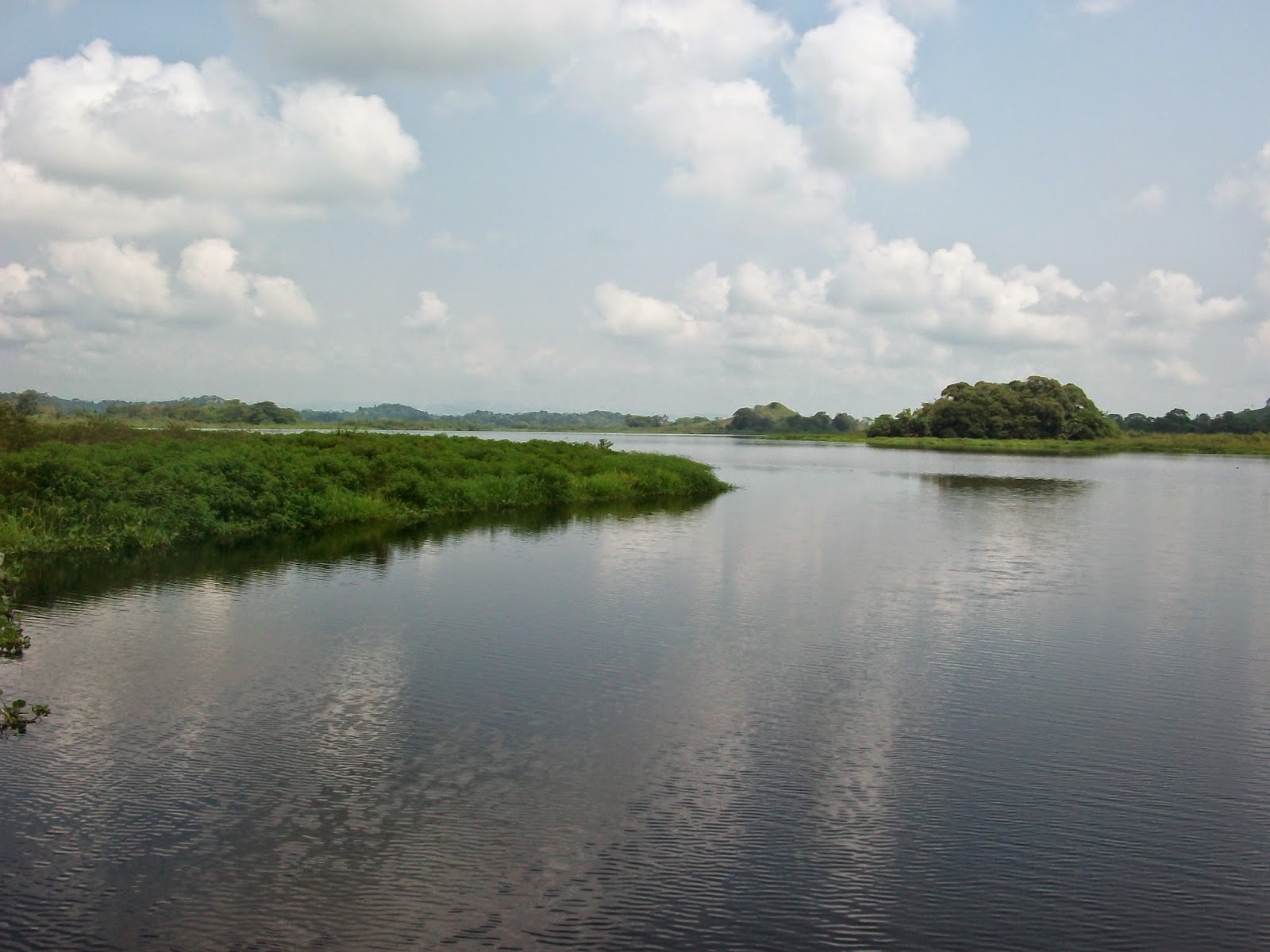Conoce a cimitarra: CIENAGAS