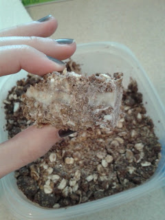 The Red Lady: Monkey Crunch Bars