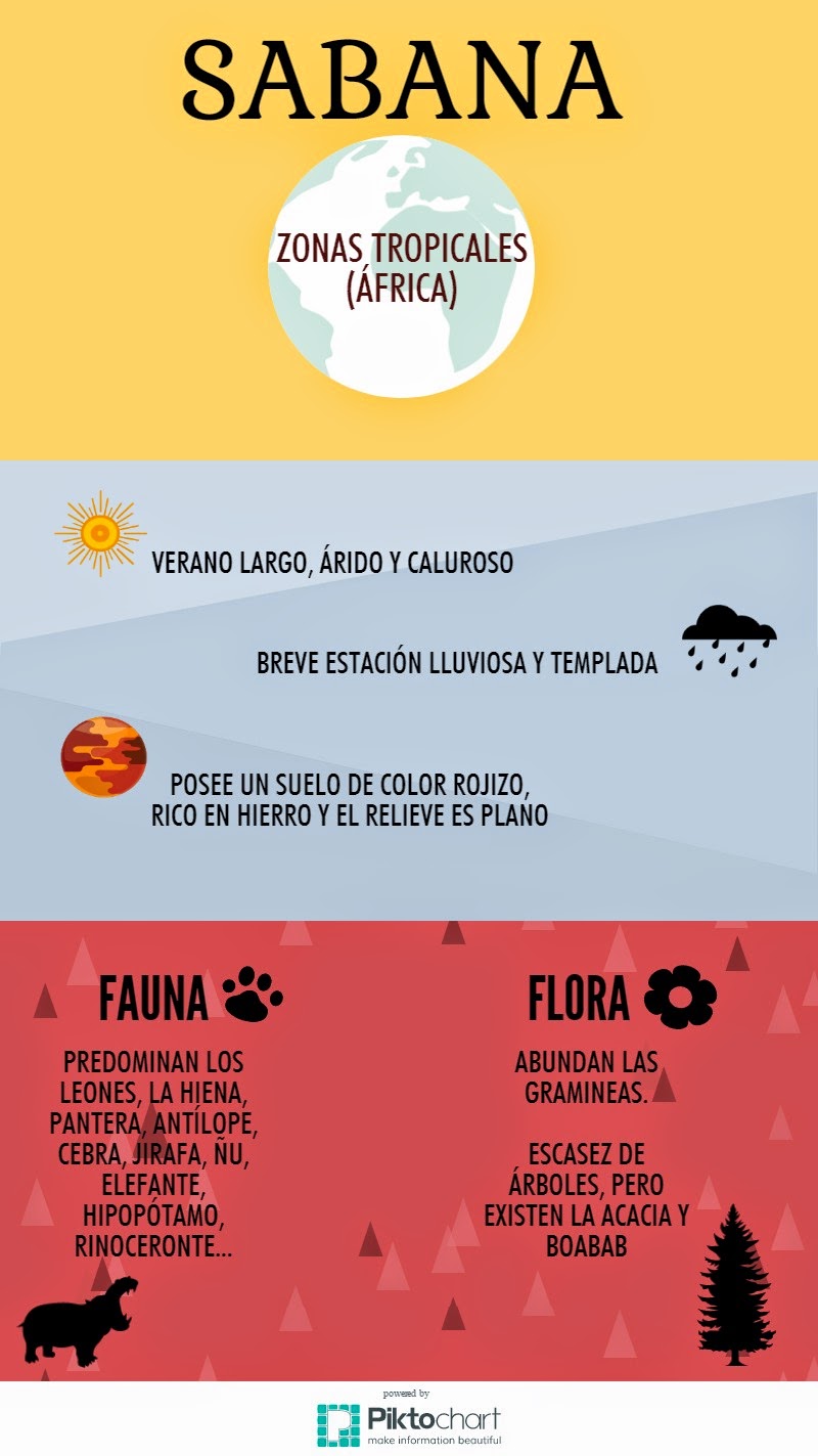 RUBÉN BIOLOGÍA: TIPOS DE BIOMAS