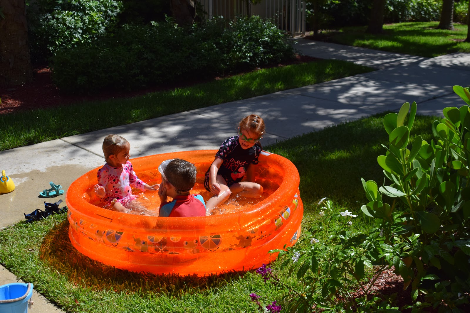 Haws Household: Kiddie Pool + Potty Training