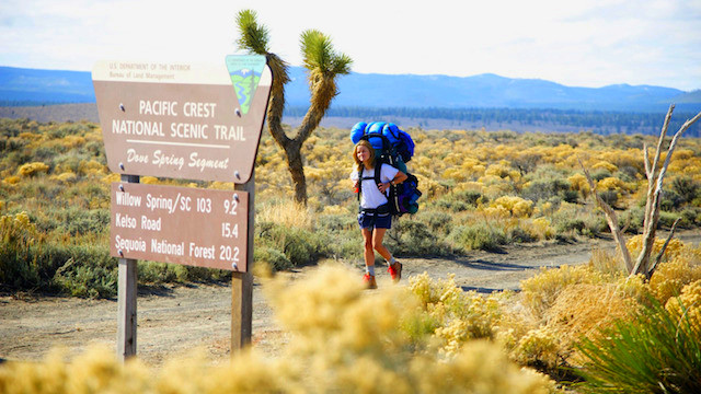 Wild Movie Film Sinopsis (Reese Witherspoon, Laura Dern, Thomas Sadoski ...