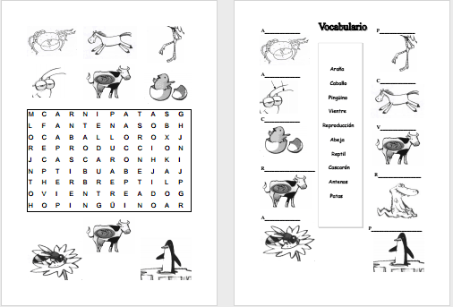 CLASIFICACIÓN DE LOS ANIMALES