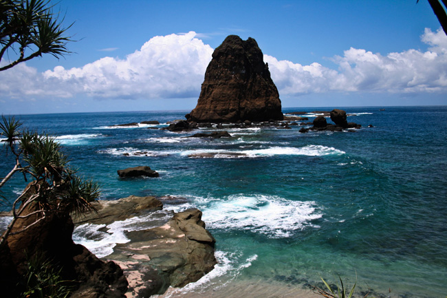 Pantai Papuma Keindahan di Permukaan dan di Dalam Laut - panduan wisata