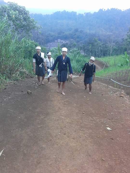 Beberapa Tanaman Obat Tradisional Yang Digunakan Masyarakat Baduy ...