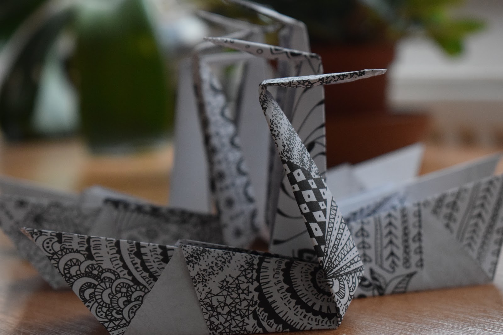 Knihu, prosím!: Papírová labuť