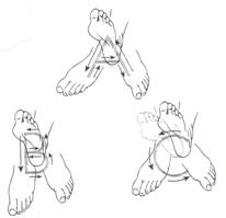 Physical Therapy DataBase: Home Exercises for Sprained Ankle