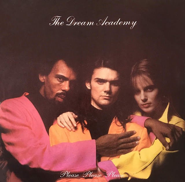 The Vinyl Curator: The Dream Academy – The 12” Single Collection