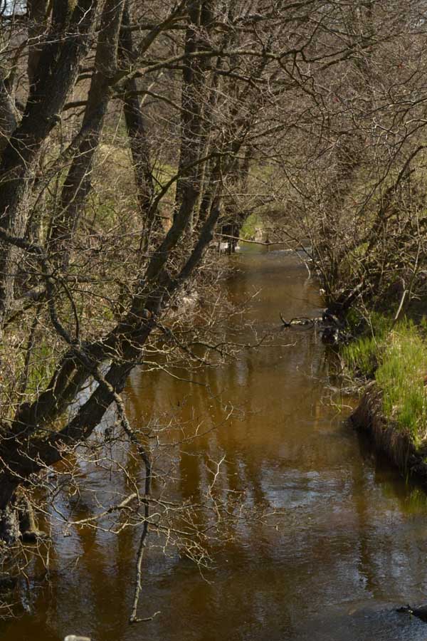 Vardag, trädgård & lite av varje!: Familjedag