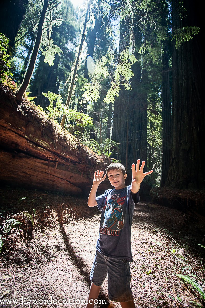 Lisa on Location: The Magical Call of the Redwoods: What I did on my ...