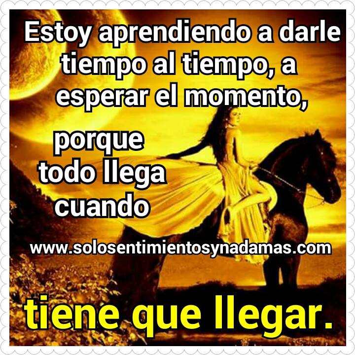 Estoy aprendiendo. - Solo sentimientos y nada mas