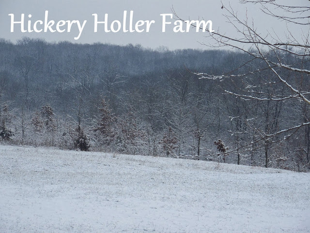 Hickery Holler Farm: The Glory Of The Season