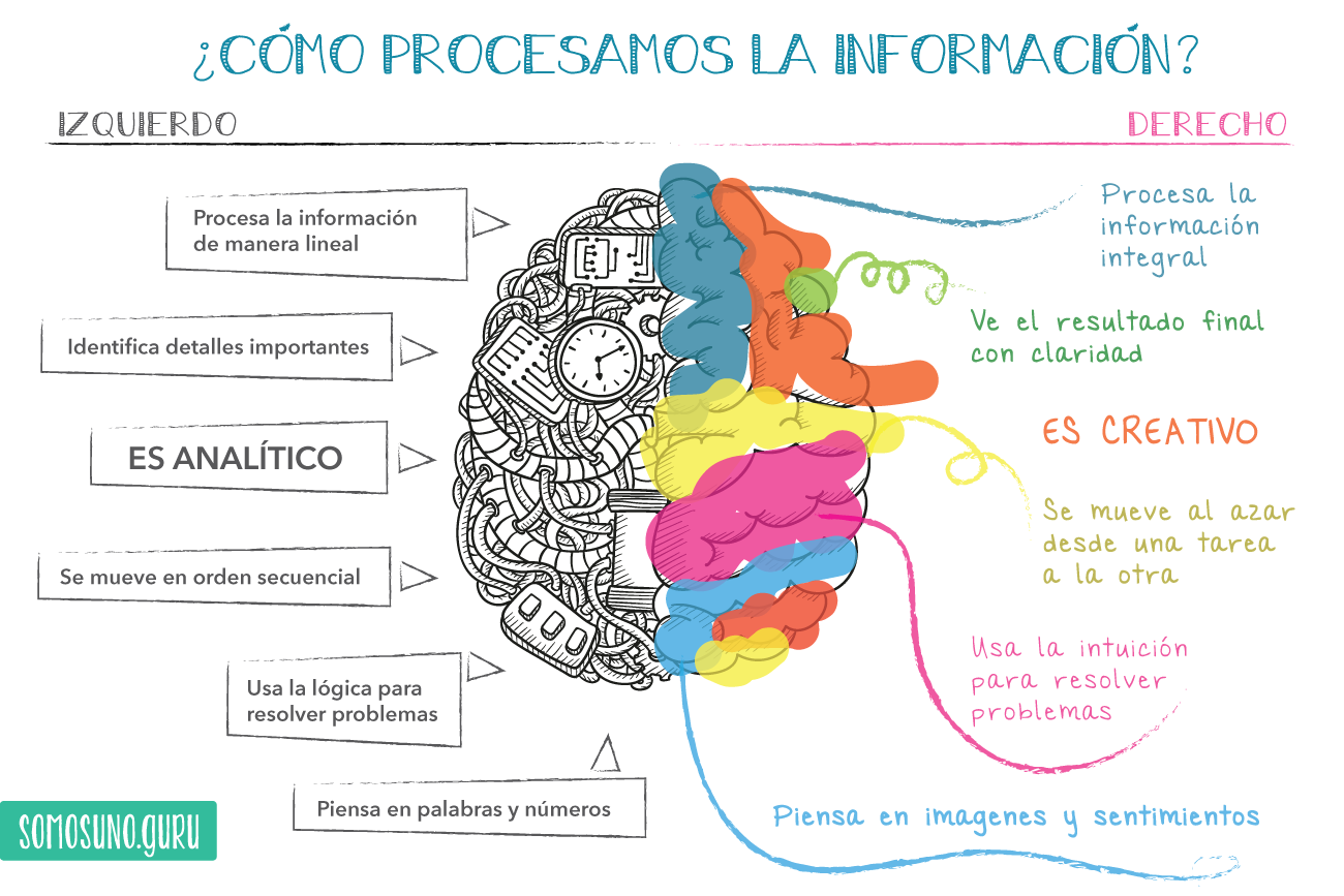 JUGANDO A CREAR CON YOMALI: Creatividad y hemisferios cerebrales