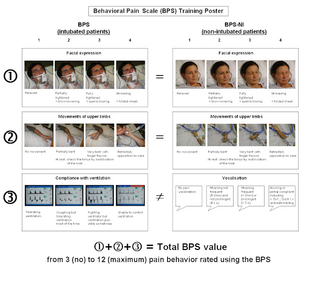 sinaune perawat: Behavioral Pain Scale (BPS)