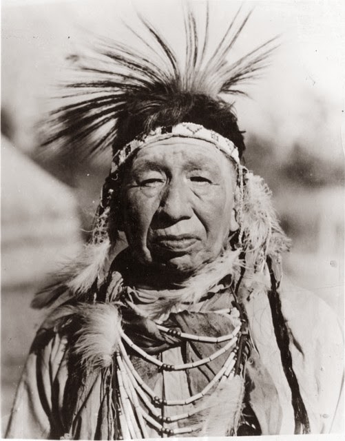 Punk AntiSystem: Joshua Perro Moteado