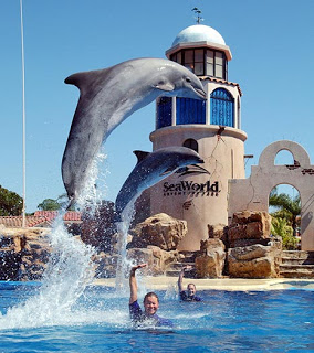 Travel Usher: SeaWorld Orlando Water Theme Park