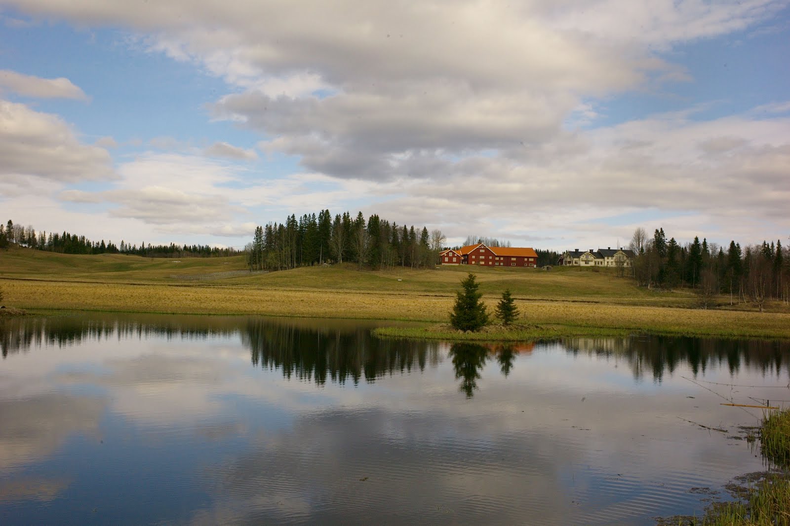 FOOD INTELLIGENCE: Connaissez-vous Faviken Magasinet de Magnus Nilsson ...