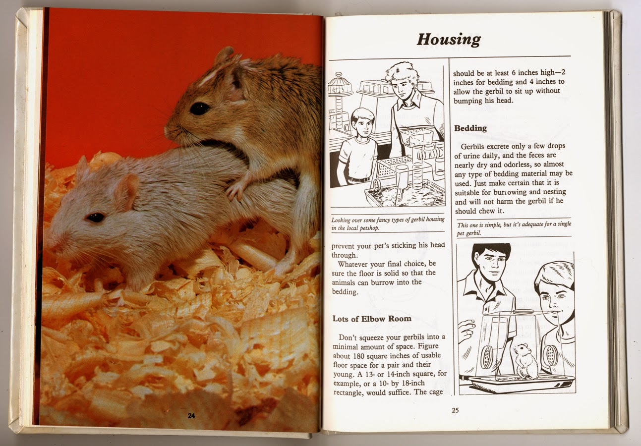 Mitch O'Connell: The Top 25 Weirdest and Most Inappropriate Children's ...