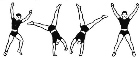 what a lovely: the evolution of the summersault