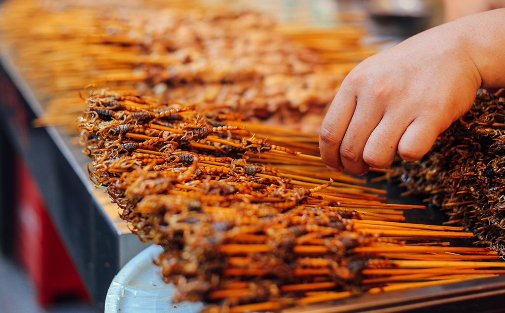 LAS COMIDAS MÁS RARAS DEL MUNDO