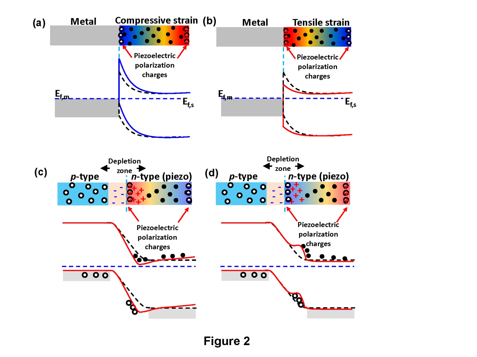2Physics: Piezotronic Nanowire “Taxel” Gives Active/Adaptive Sense of Touch