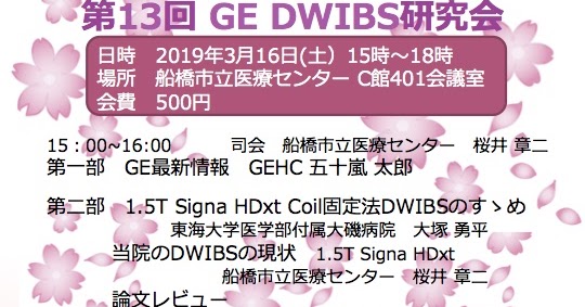 GE DWIBS研究会: 第13回 GE DWIBS研究会 update