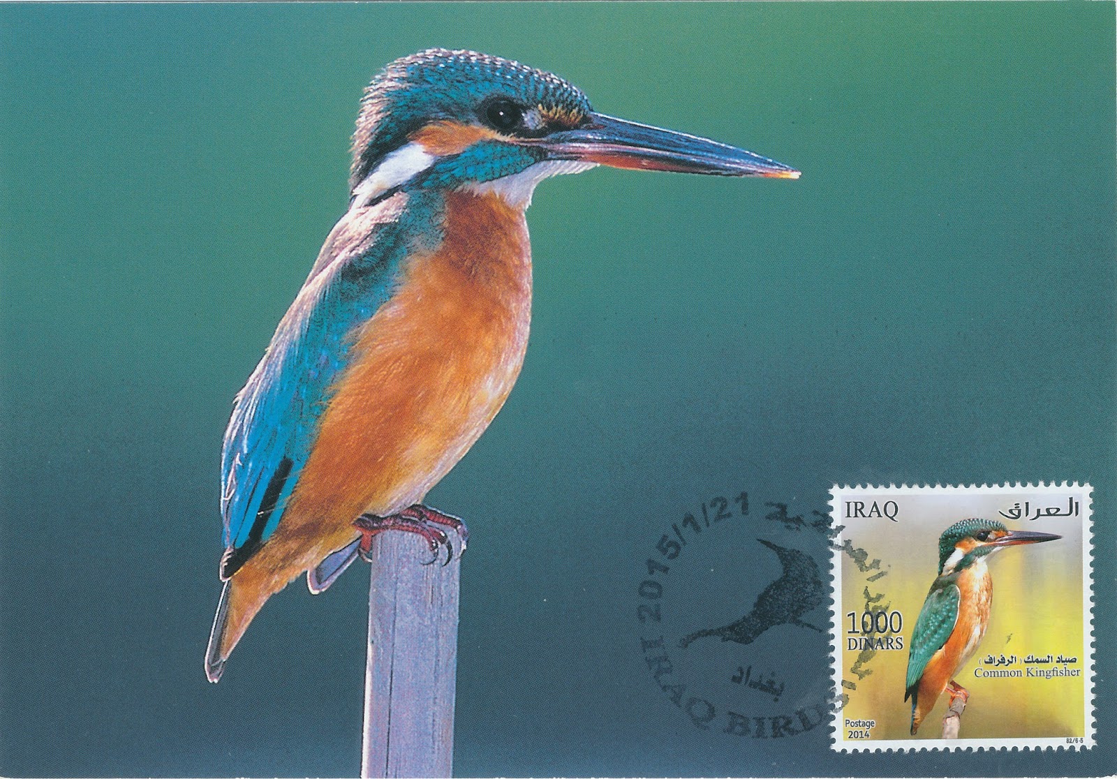 Philatelic of Birds: Iraqi birds