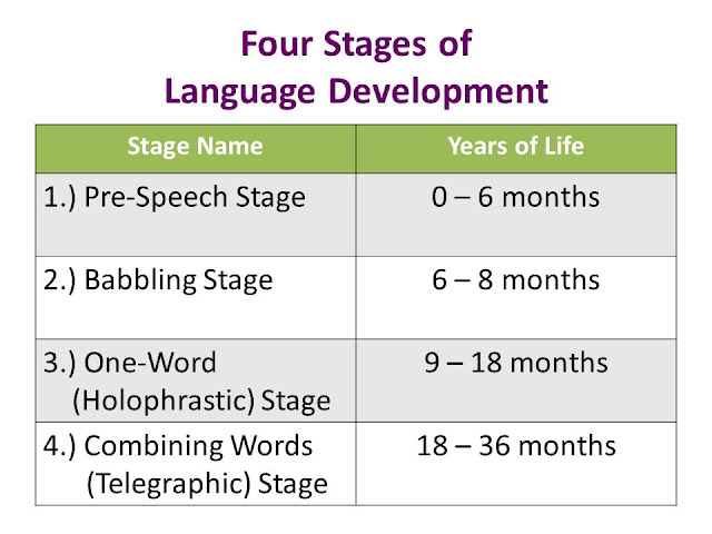 Stages in First Language Acquisition